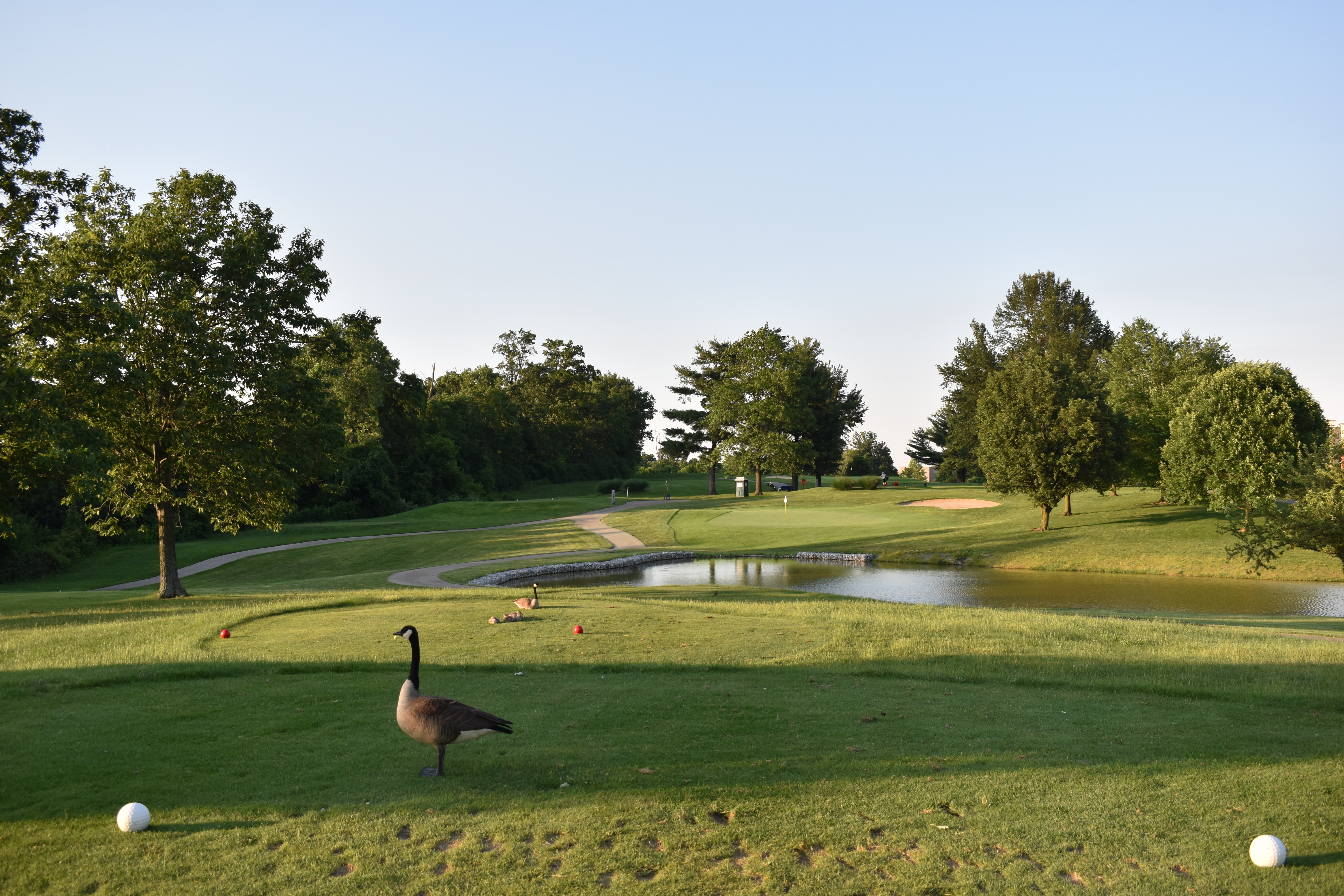Our Course - World of Golf